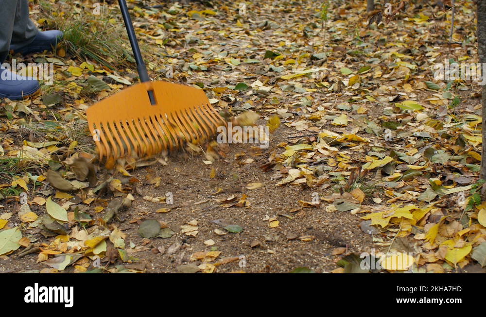 Man with rake Stock Videos & Footage - HD and 4K Video Clips - Alamy