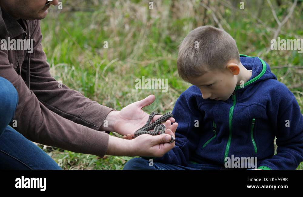 Child holding snake Stock Videos & Footage - HD and 4K Video Clips - Alamy