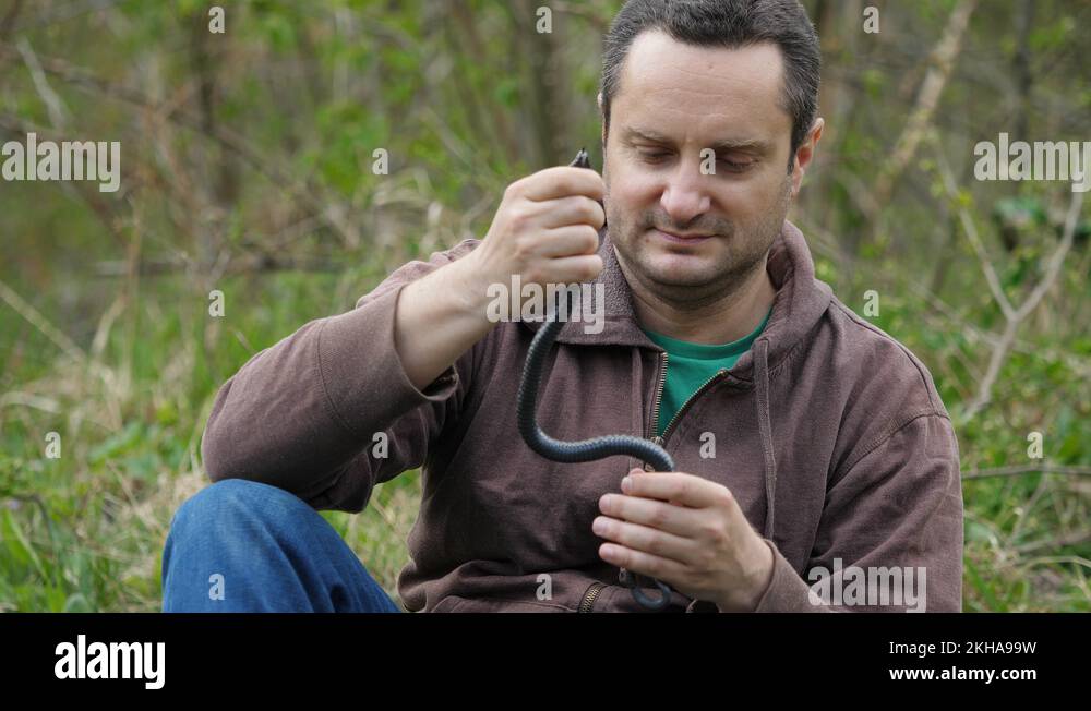Man holding a snake Stock Videos & Footage - HD and 4K Video Clips - Alamy