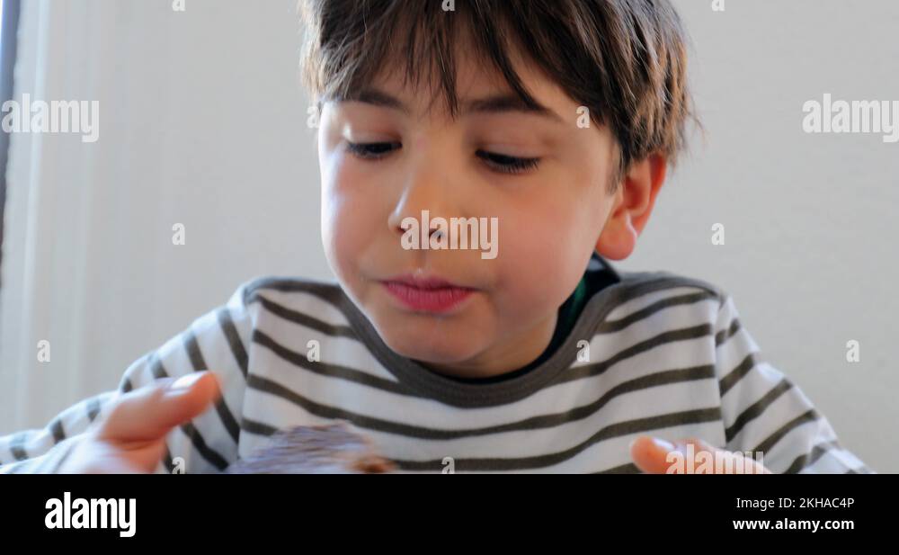 Young boy taking a bite from sliced bread in the morning. Child eating ...