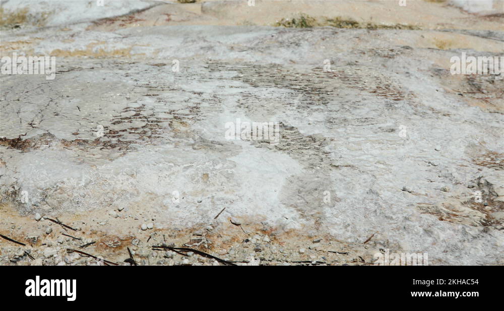 Calcium stones Stock Videos & Footage - HD and 4K Video Clips - Alamy