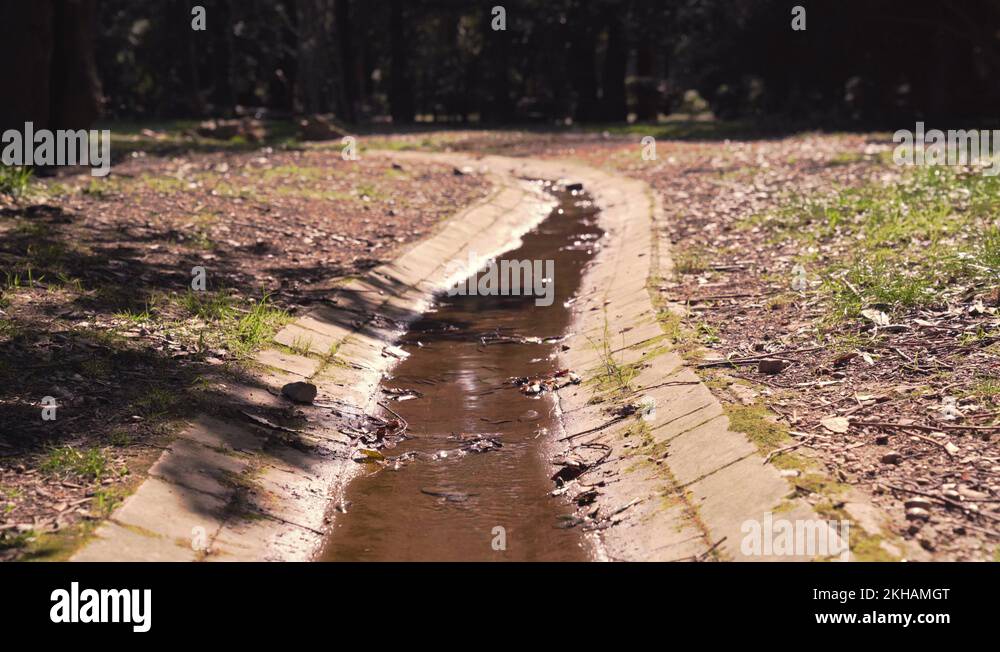 Environmental pollution, catastrophe concept. Dirty water floating in ...