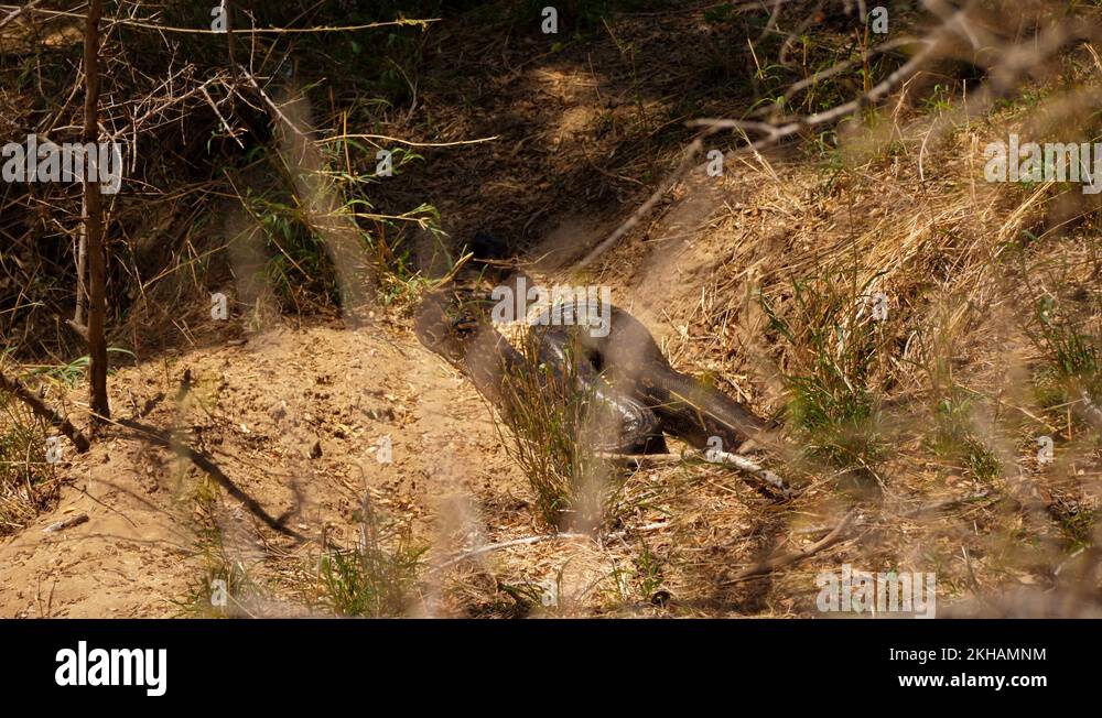 Huge slide Stock Videos & Footage - HD and 4K Video Clips - Alamy