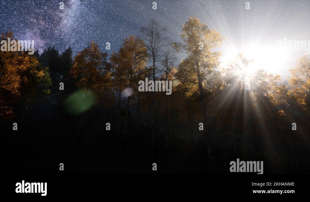 Milky way trees astrophotography forest Stock Videos & Footage - HD and ...