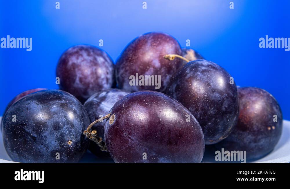 Juicy fruit decay Stock Videos & Footage - HD and 4K Video Clips - Alamy