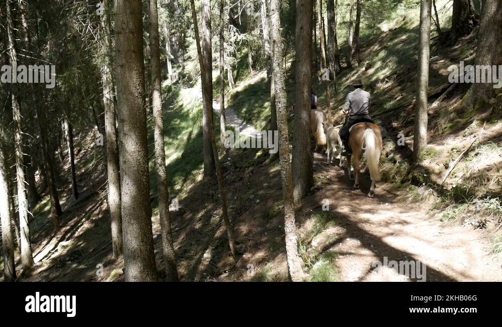 fascinating view of two man riding a horse in center is a baby horse ...