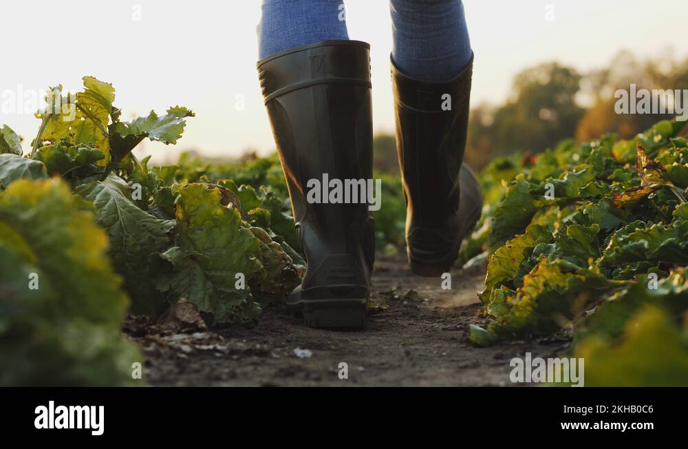 Rows of boots Stock Videos & Footage - HD and 4K Video Clips - Alamy
