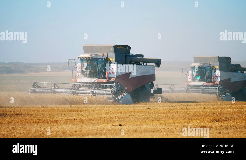 Farming machines are reaping and processing rye Stock Video Footage - Alamy