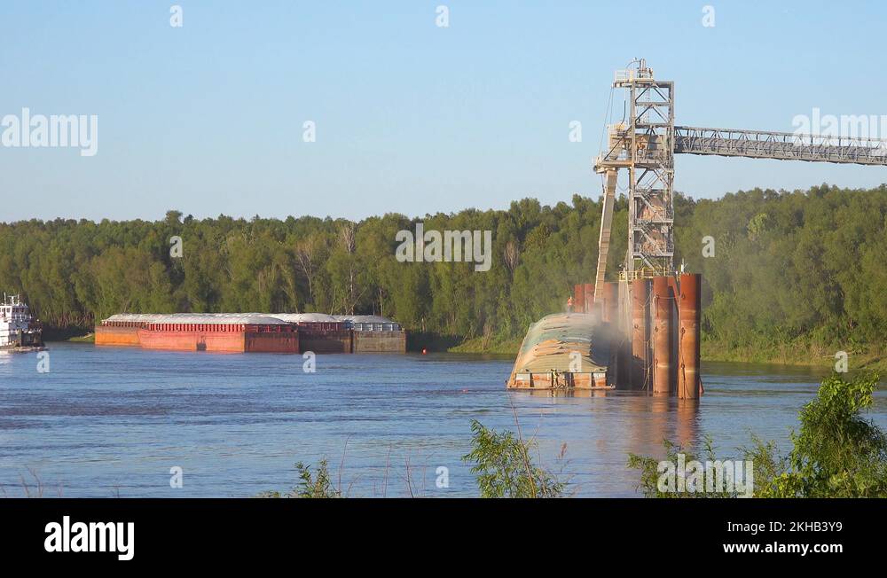 Workers load a grain barge along the Mississippi River while a tugboat ...