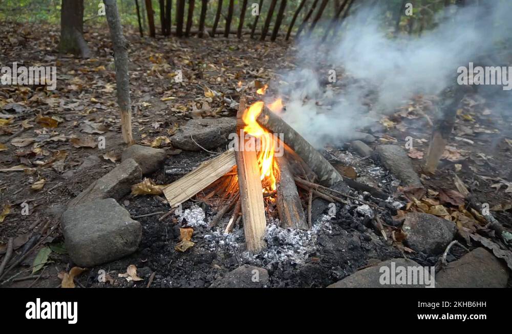 Lean shelter Stock Videos & Footage - HD and 4K Video Clips - Alamy