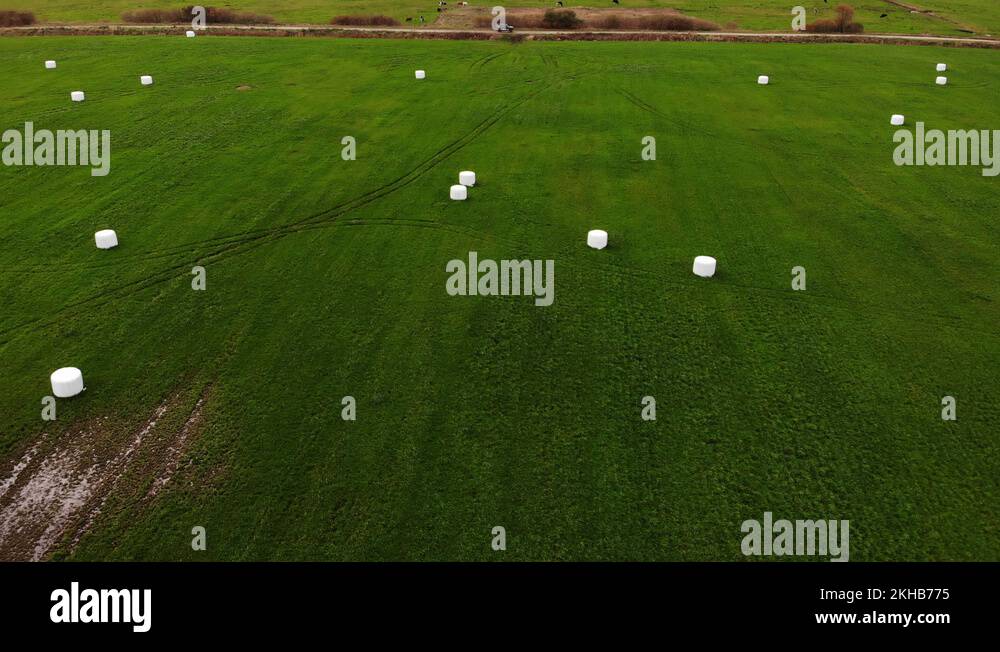 Boggy field Stock Videos & Footage - HD and 4K Video Clips - Alamy