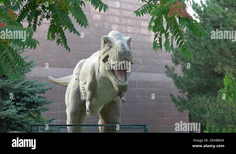 Tirannosaurus rex Stock Videos & Footage - HD and 4K Video Clips - Alamy
