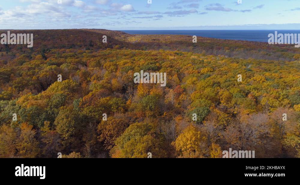 Rich fall colors Stock Videos & Footage - HD and 4K Video Clips - Alamy