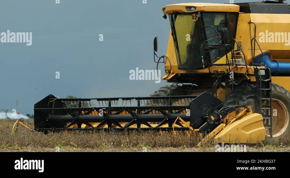 Agriculture tractor harvests soybean field in 4K Stock Video Footage ...