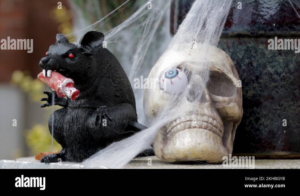Scary rat Stock Videos & Footage - HD and 4K Video Clips - Alamy