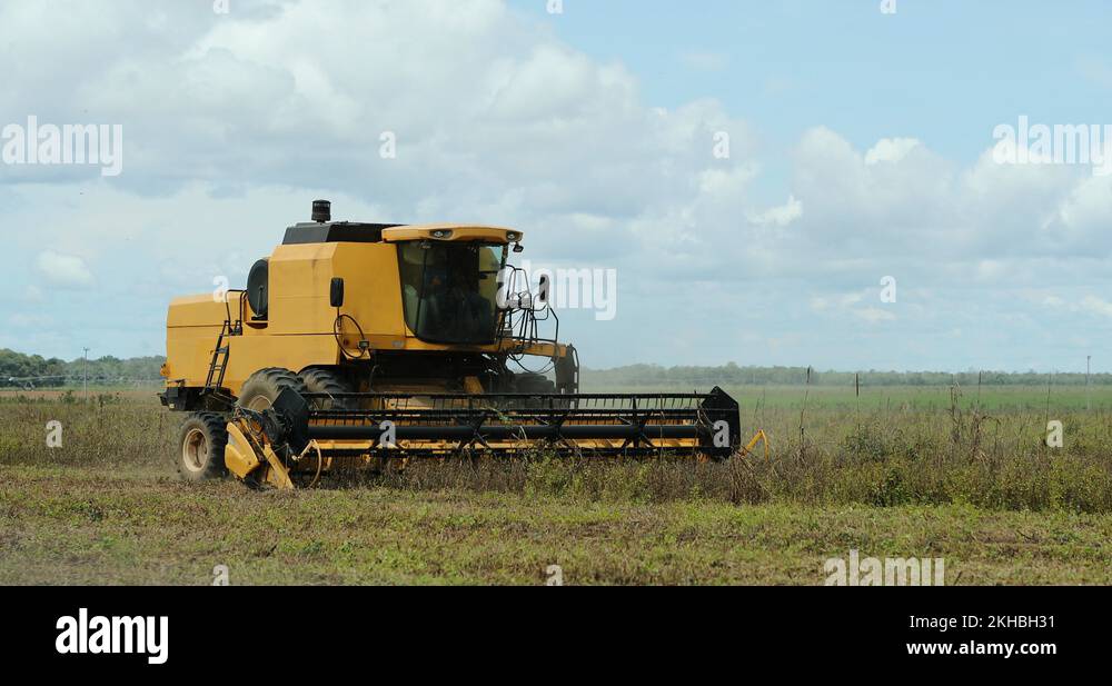 Tractor harvests soybean field in 4K Stock Video Footage - Alamy