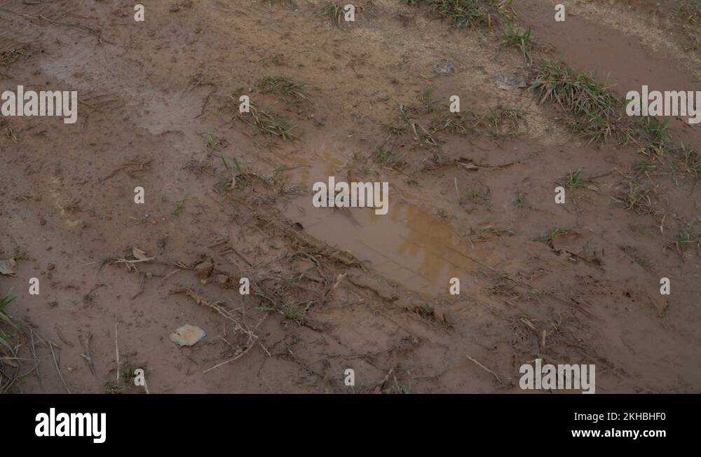 Mud on vehicle Stock Videos & Footage - HD and 4K Video Clips - Alamy