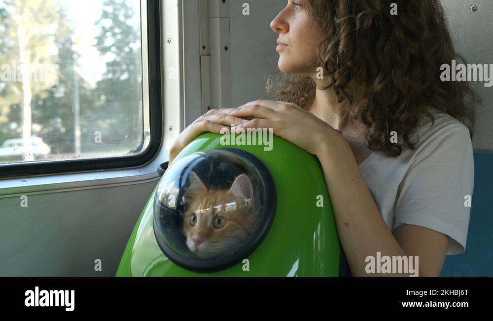 A young woman rides the train with a red cat in a backpack with a ...