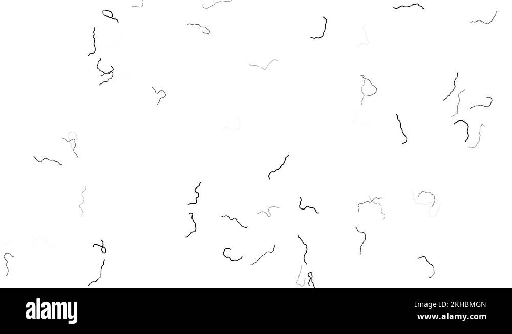 Generative algorithm Stock Videos & Footage - HD and 4K Video Clips - Alamy