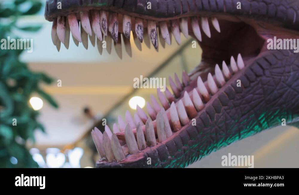 Spinosaurus evolution reptile jurassic cretaceous gigantic large Stock ...