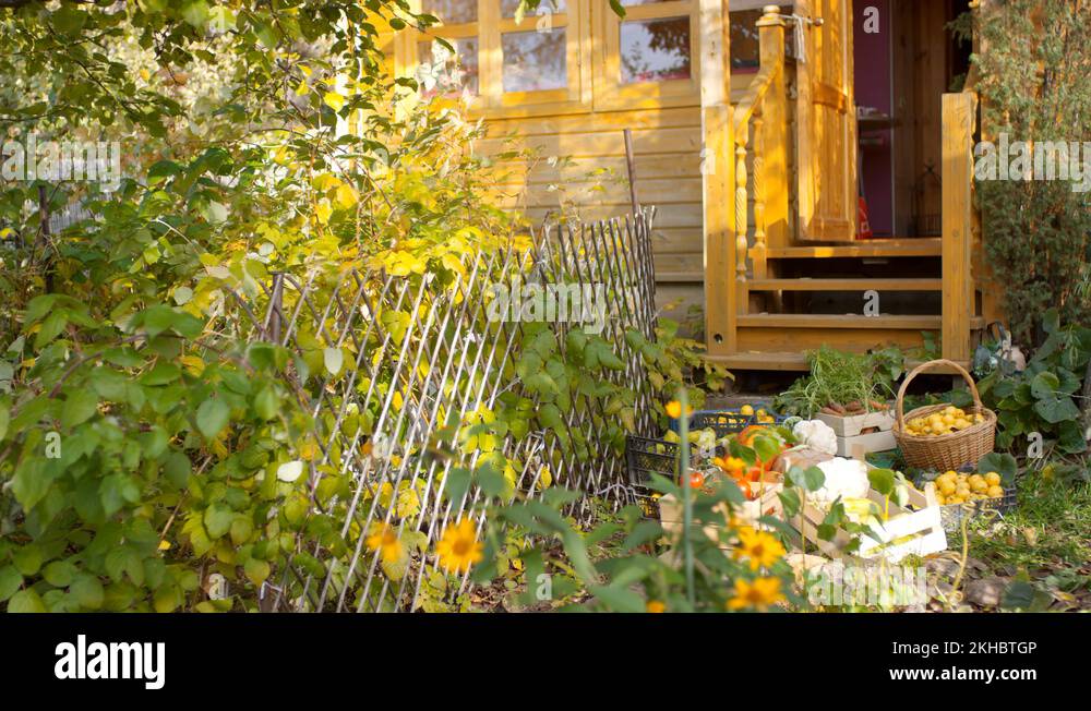 Wooden fruit crates Stock Videos & Footage - HD and 4K Video Clips - Alamy