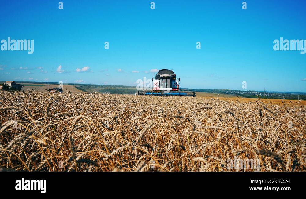 Combine harvester harvesting crops frontview Stock Videos & Footage ...