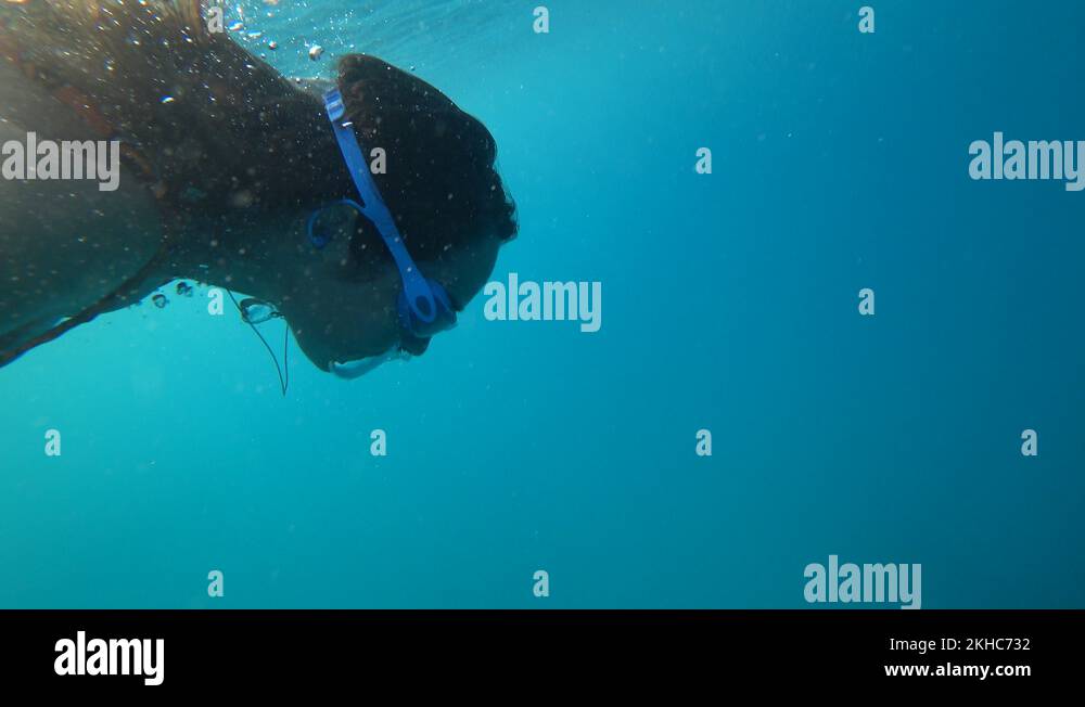 Female skin diver Stock Videos & Footage - HD and 4K Video Clips - Alamy