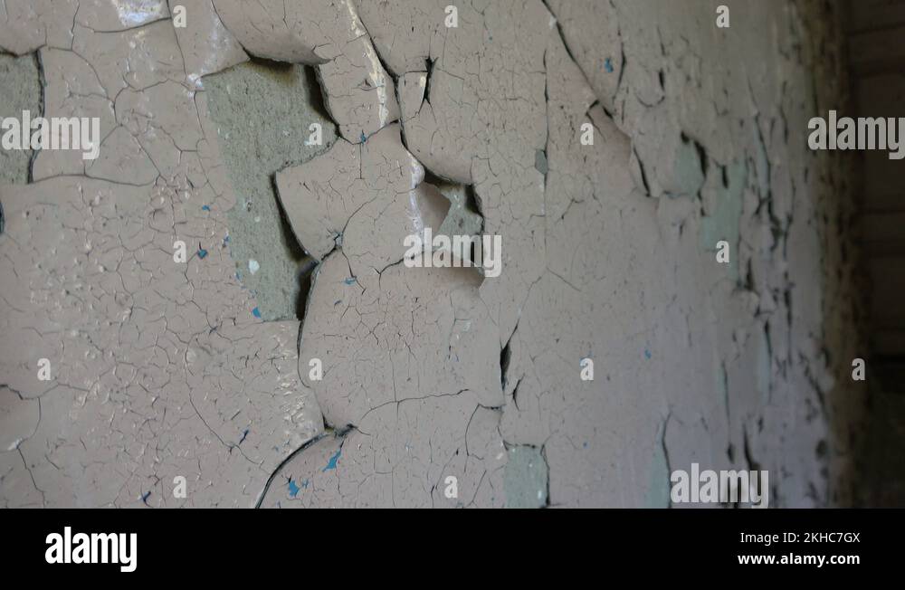 Scaling paint Stock Videos & Footage - HD and 4K Video Clips - Alamy