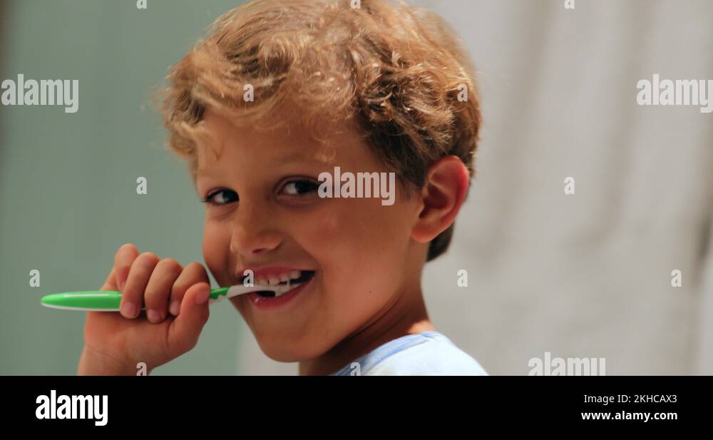 Child brushing teeth in front of mirror in 4K. Young boy brushes teeth ...