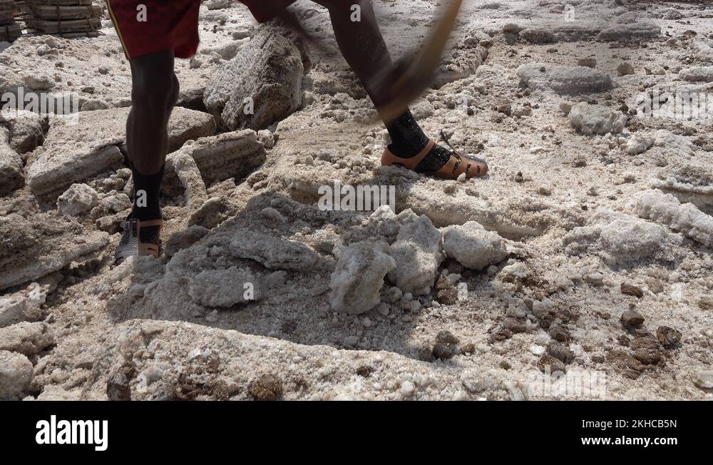 Salt blocks africa Stock Videos & Footage - HD and 4K Video Clips - Alamy