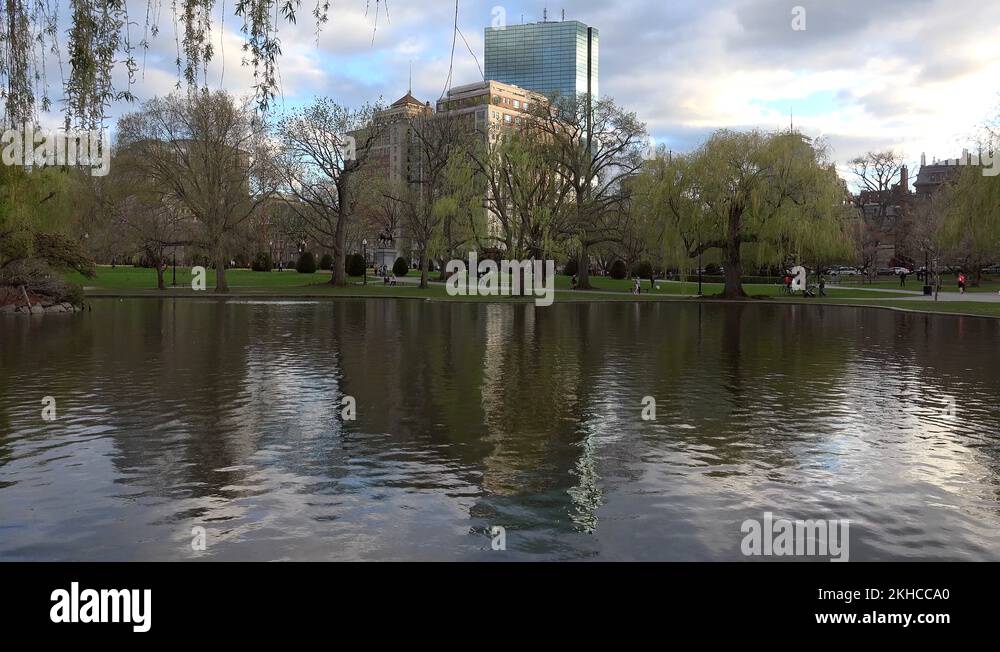 Boston basin Stock Videos & Footage - HD and 4K Video Clips - Alamy