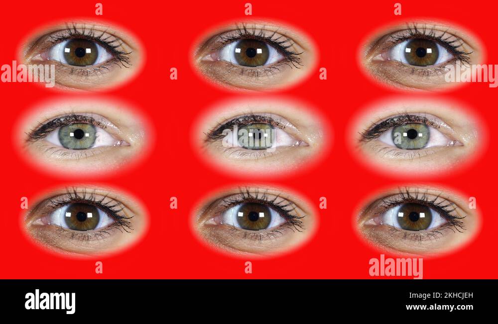 A lot of eyes. Two types of female eyes. A background of the eyes. Eyes ...