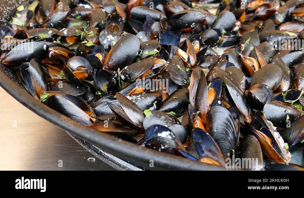 Background fresh sea shells Stock Videos & Footage - HD and 4K Video ...