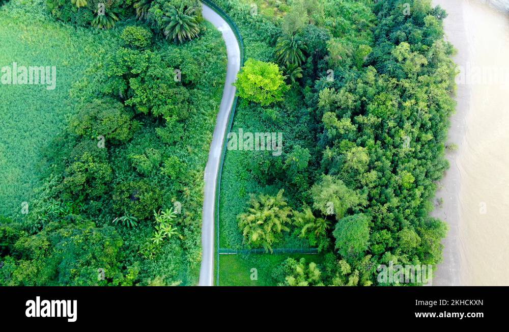 Guyana jungle Stock Videos & Footage - HD and 4K Video Clips - Alamy