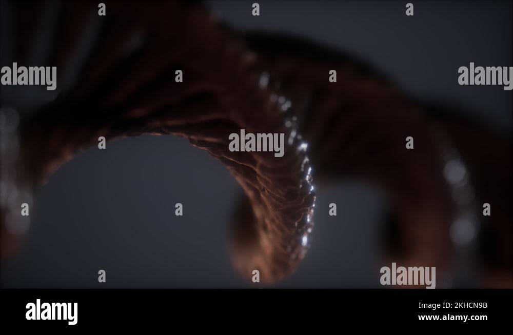 loopable structure of the DNA double helix animation Stock Video ...