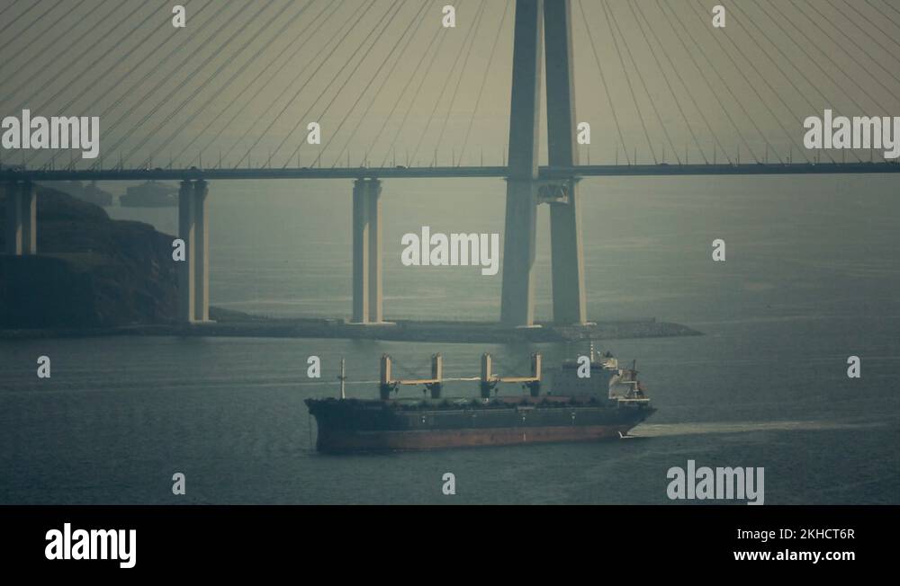 Bay hopper Stock Videos & Footage - HD and 4K Video Clips - Alamy