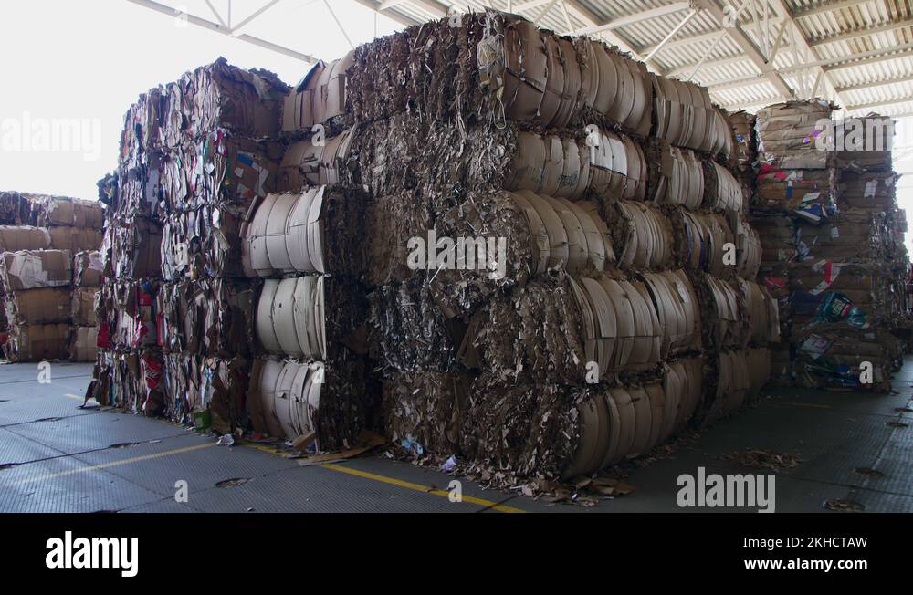 Waste ground plant Stock Videos & Footage - HD and 4K Video Clips - Alamy