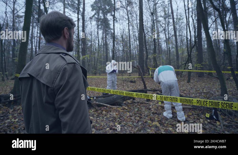 Forensic experts examining crime scene forest, detective talking walkie ...