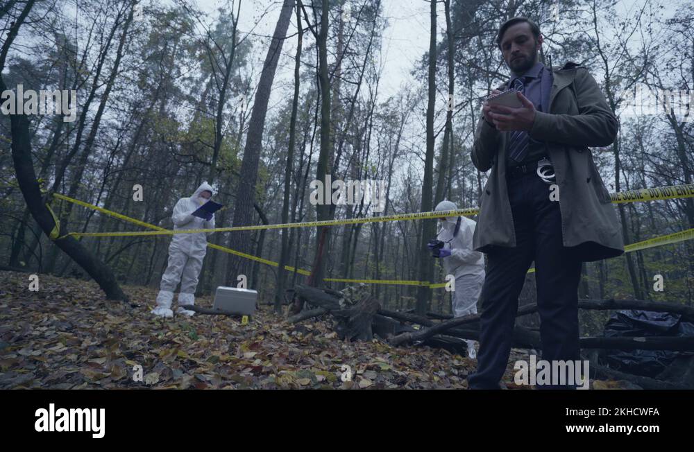 Forensic experts collecting evidence, forest crime scene marked with ...