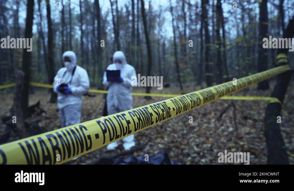 Evidence collection Stock Videos & Footage - HD and 4K Video Clips - Alamy