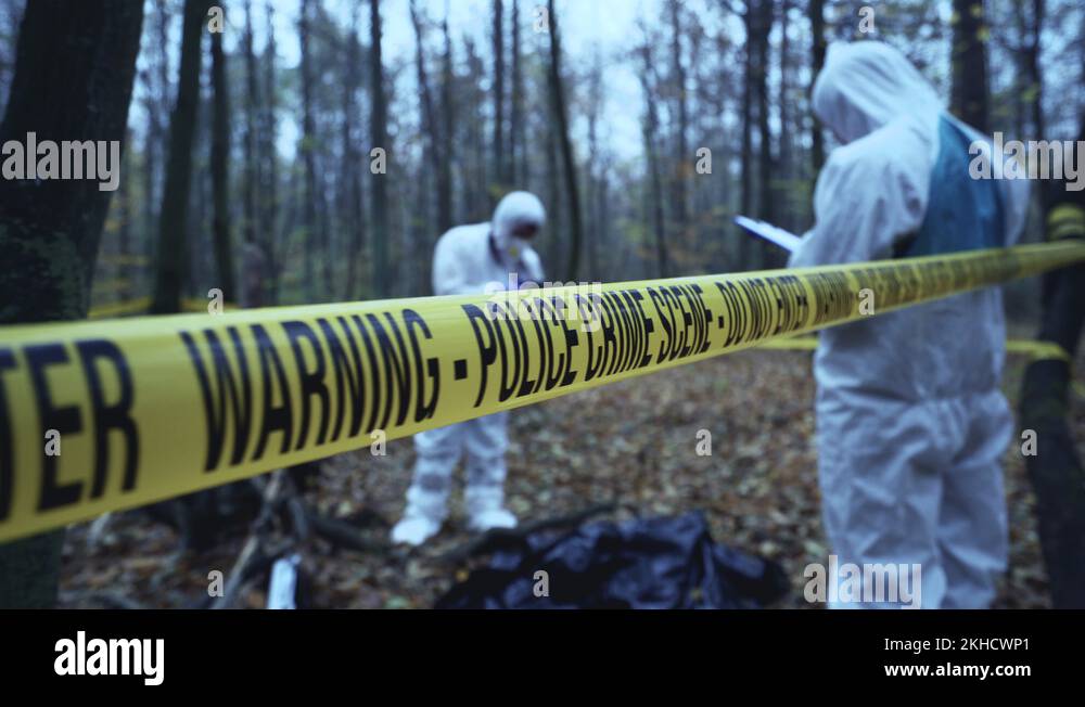 Forest crime scene Stock Videos & Footage - HD and 4K Video Clips - Alamy