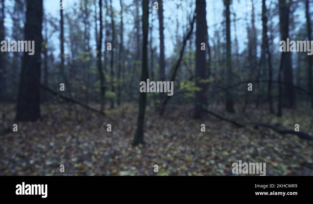 Crime murder searching police Stock Videos & Footage - HD and 4K Video ...