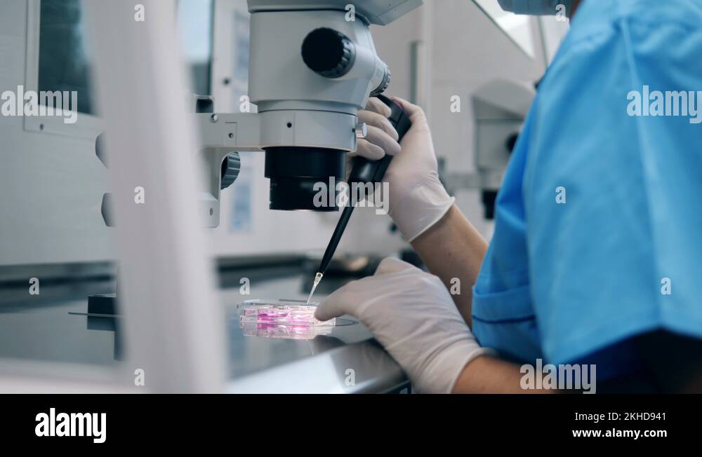 Liquids are being observed under a microscope by the medical lab worker ...