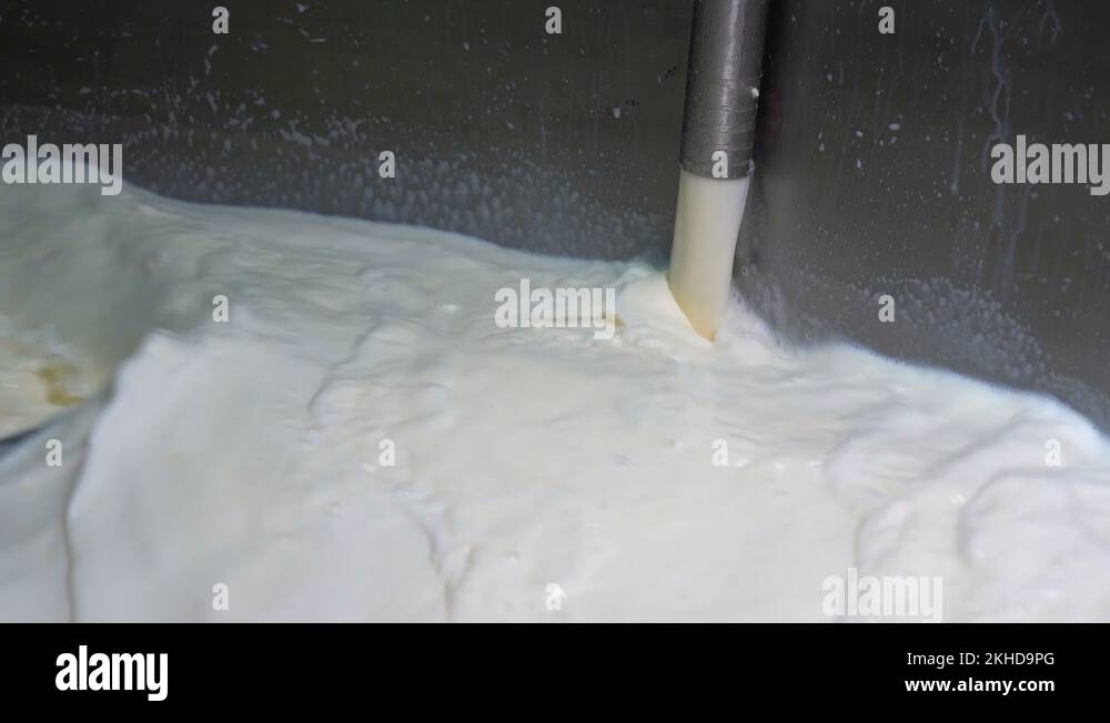 Raw Milk Pouring into Pasteurization Tank - Dairy Plant Food Safety ...