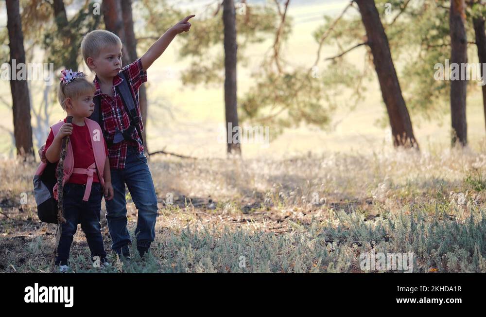 Teamwork. Two children a boy and a girl walk through the forest holding ...