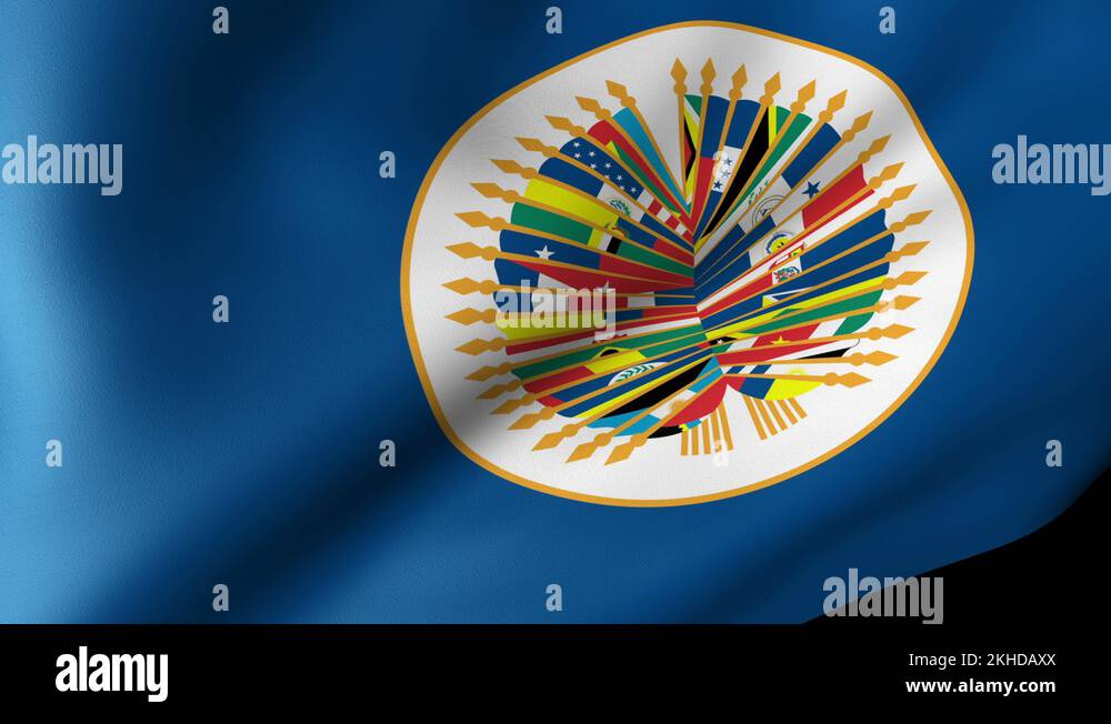 Oas design Stock Videos & Footage - HD and 4K Video Clips - Alamy