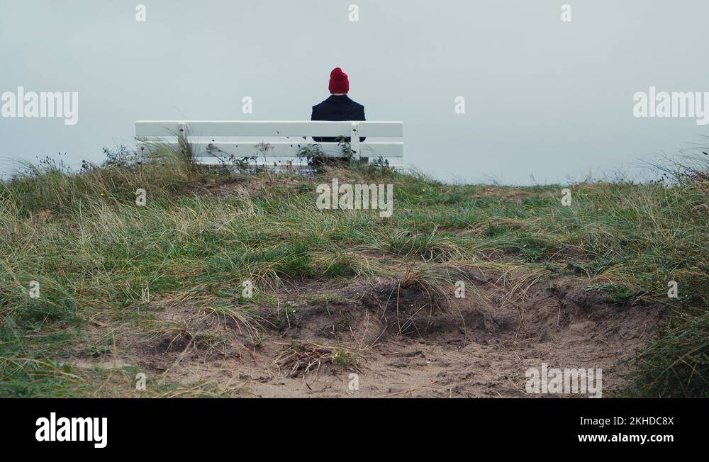 Bench in national park Stock Videos & Footage - HD and 4K Video Clips ...
