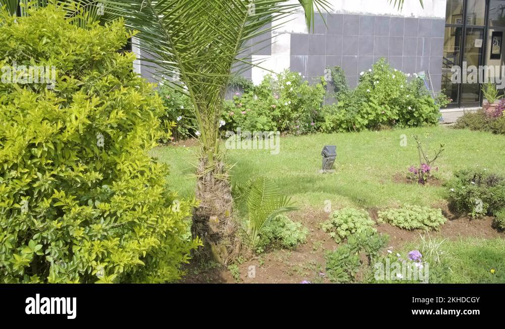 Tilt Up Reveal Red Terror Martyrs Memorial Museum Exterior Addis Ababa ...