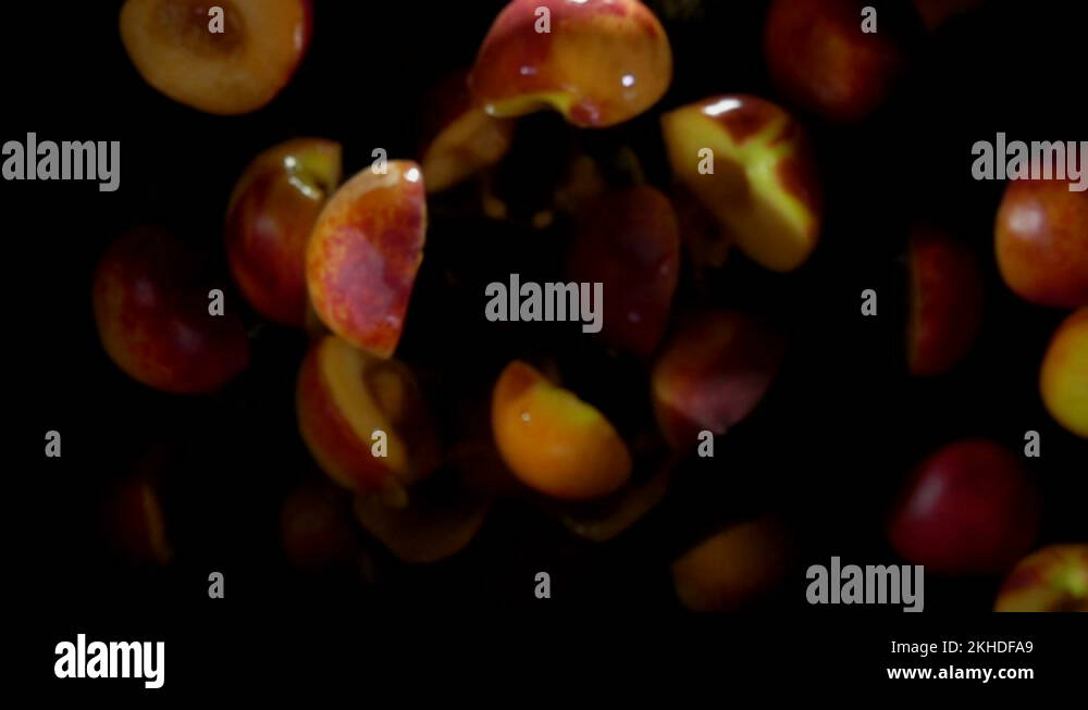 Fly halves Stock Videos & Footage - HD and 4K Video Clips - Alamy