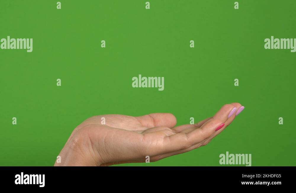 Beautiful female hand palm Stock Videos & Footage - HD and 4K Video ...